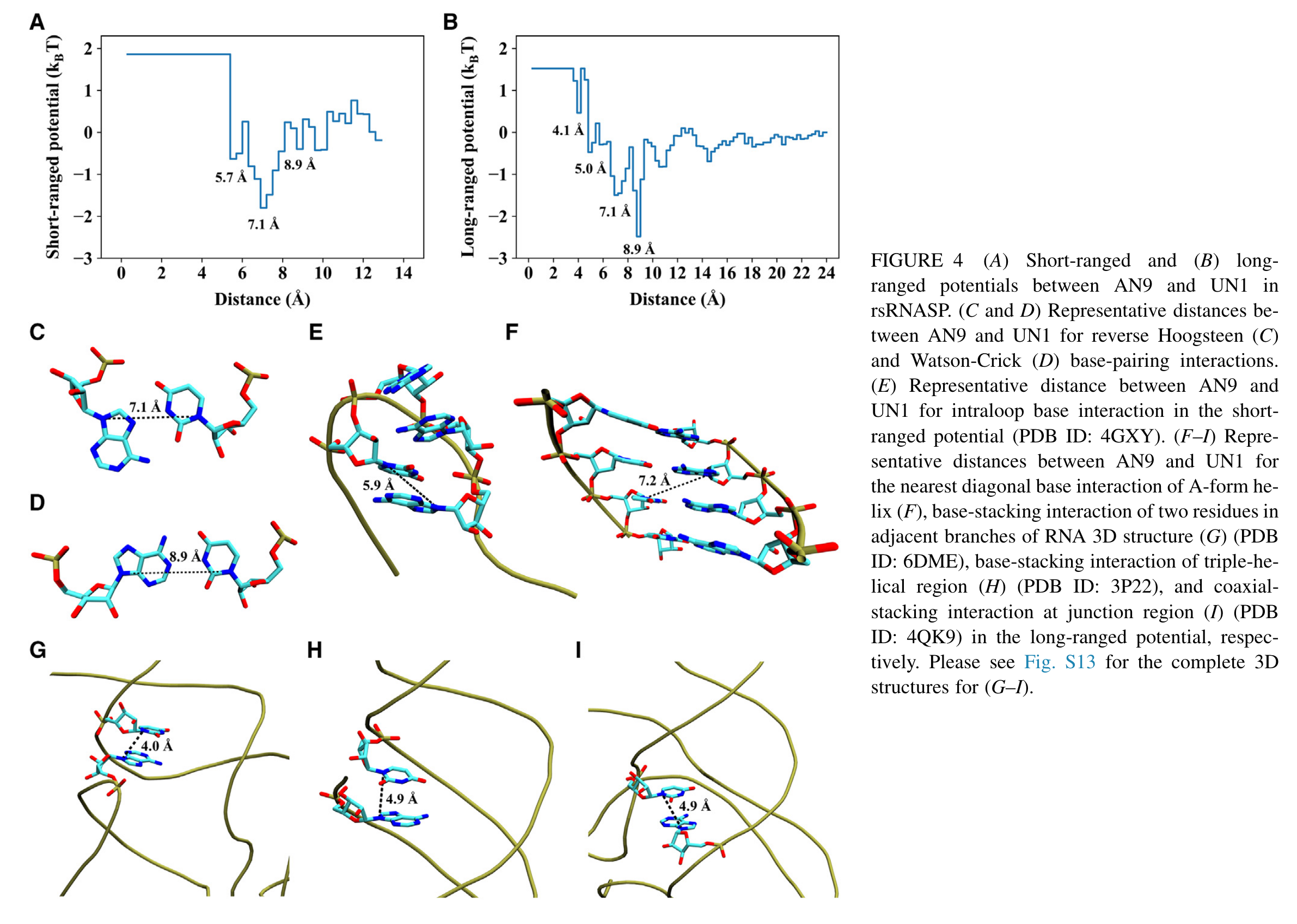RNA Folding Lab - Home