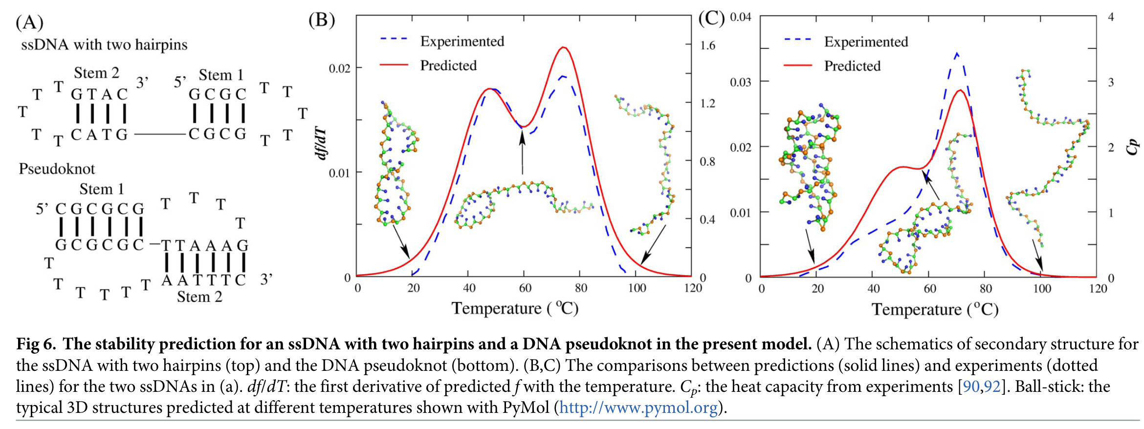 RNA Folding Lab - Home