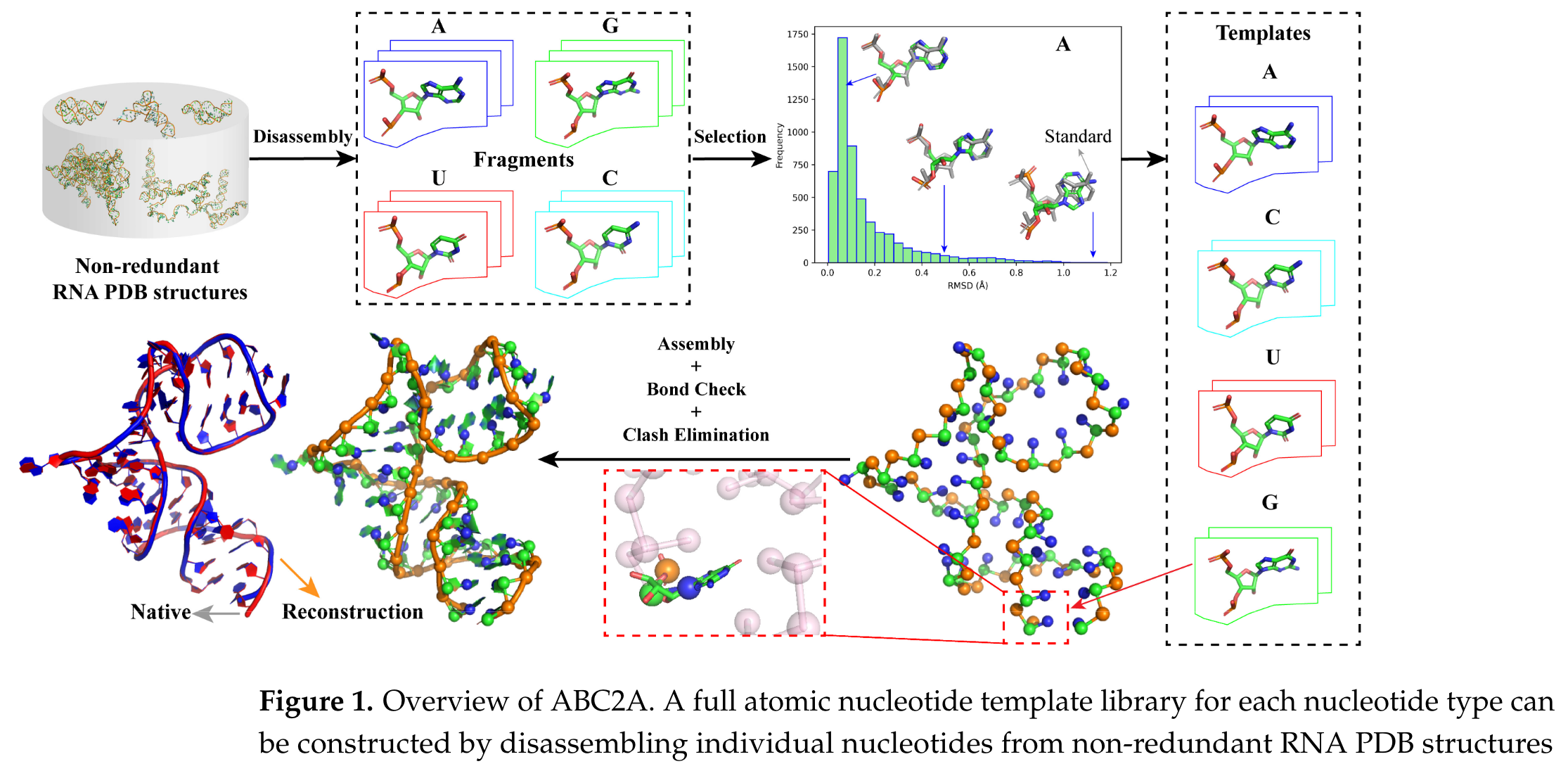 RNA Folding Lab - Home